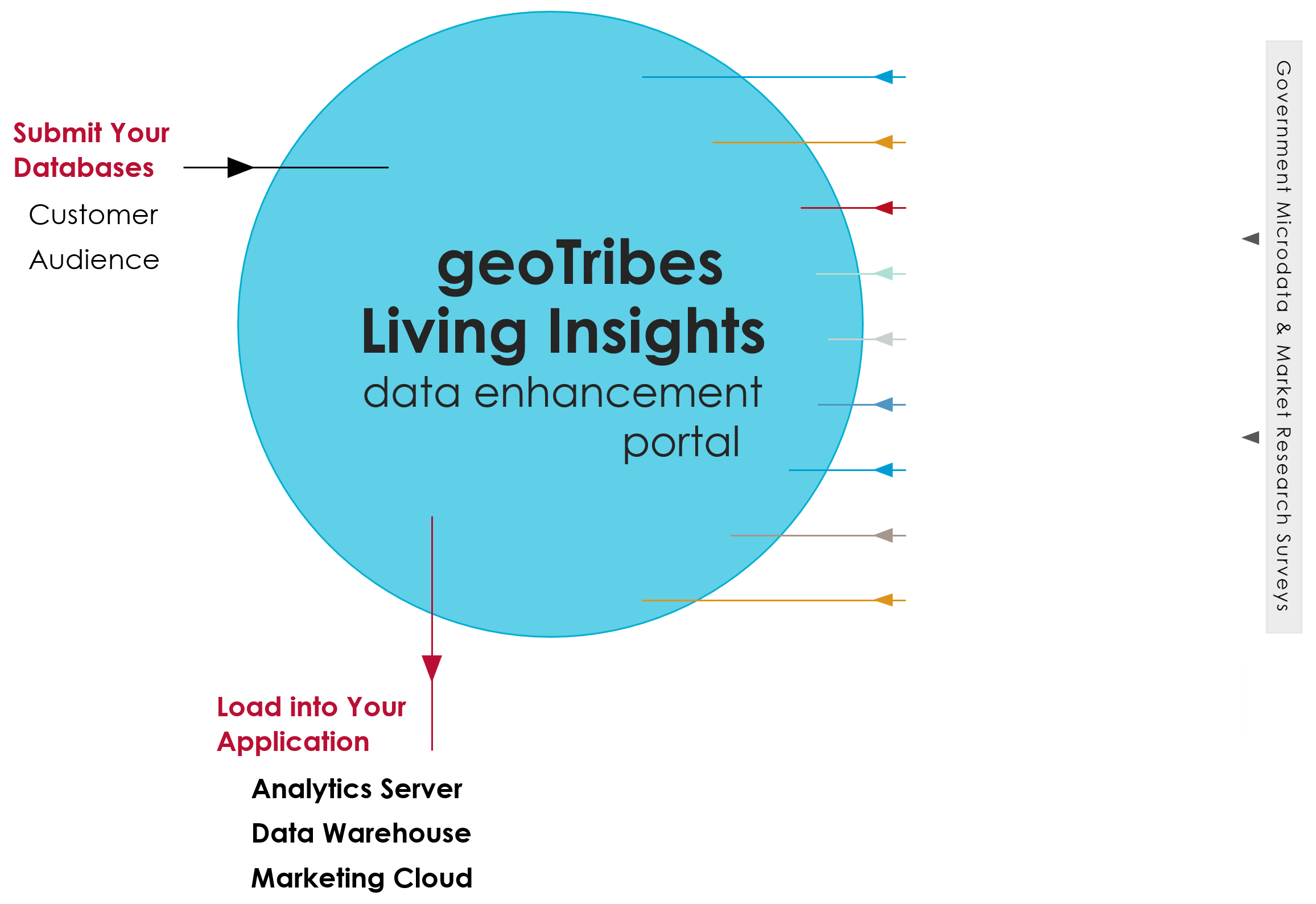 Living Insights | geoTribes